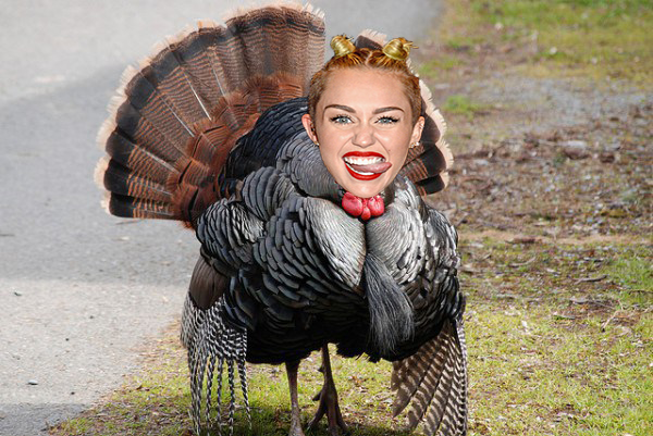 B3YwhZmCIAAweEC – sune lehmann